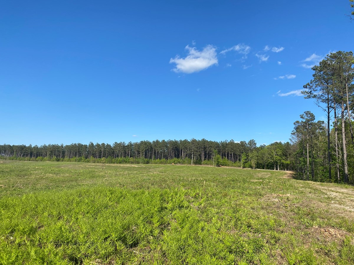 Land For Sale In Tn, 26 Acres+/-, Open Land