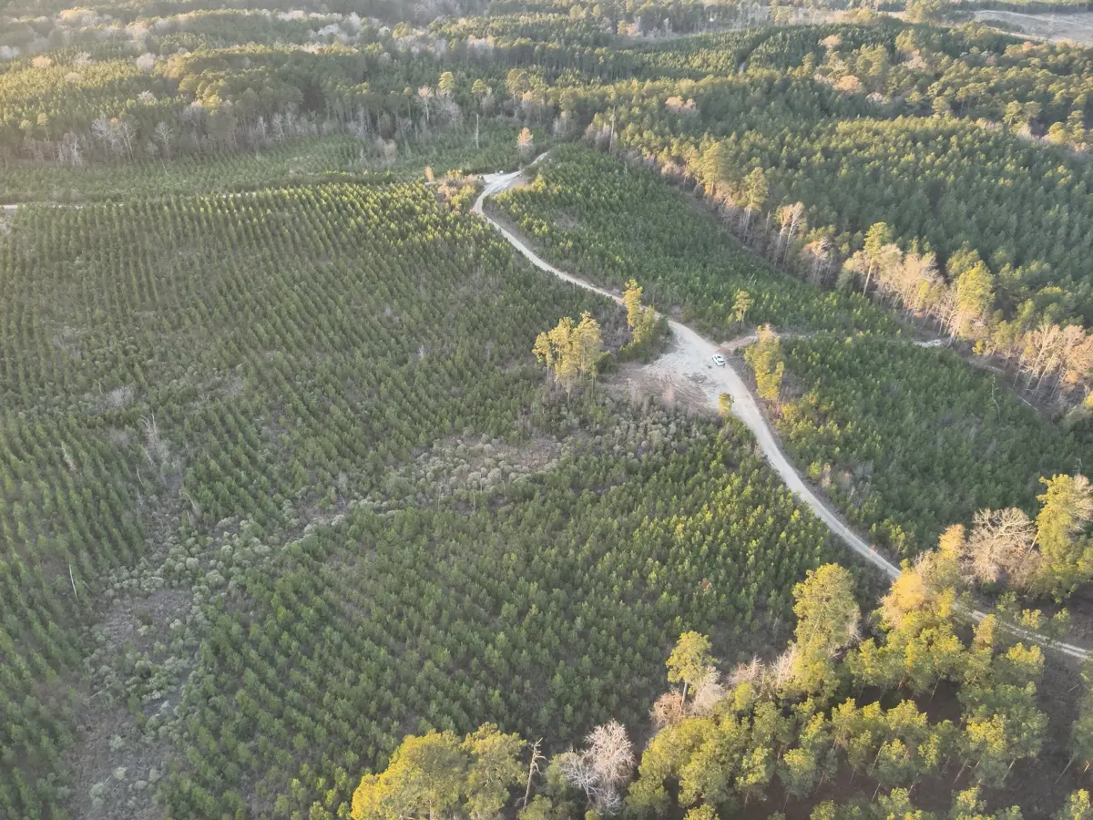 Lawson, AR Timberland Property Land for Sale