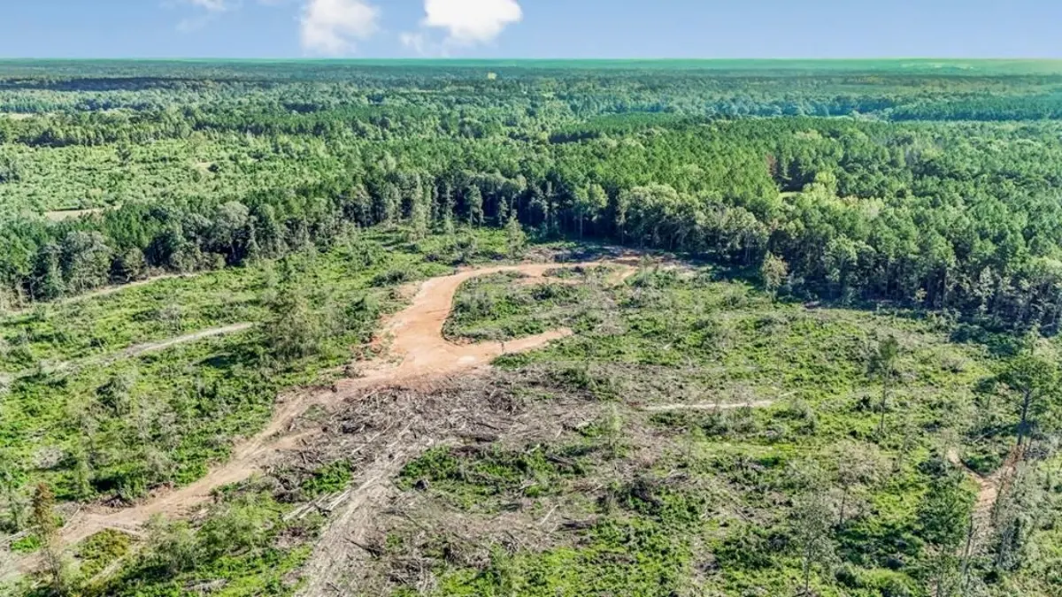 Small Hunting Tract in Amite County, MS