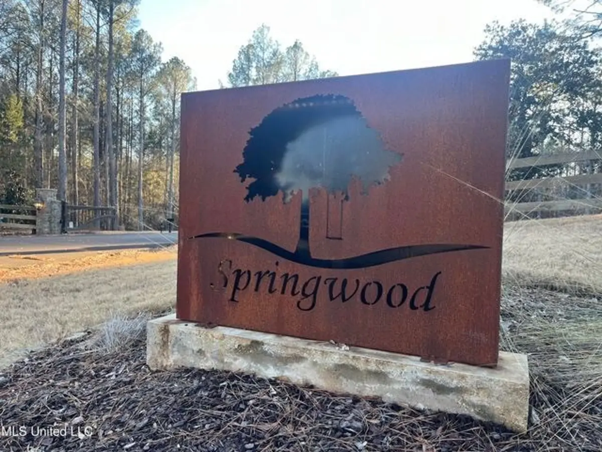 Lot 13 Springwood Trail Madison County, MS