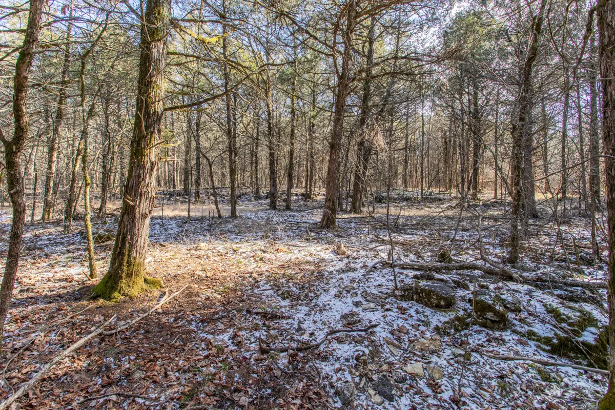 Ozark Private Woodland in Sharp County Near Prime Hunting Area