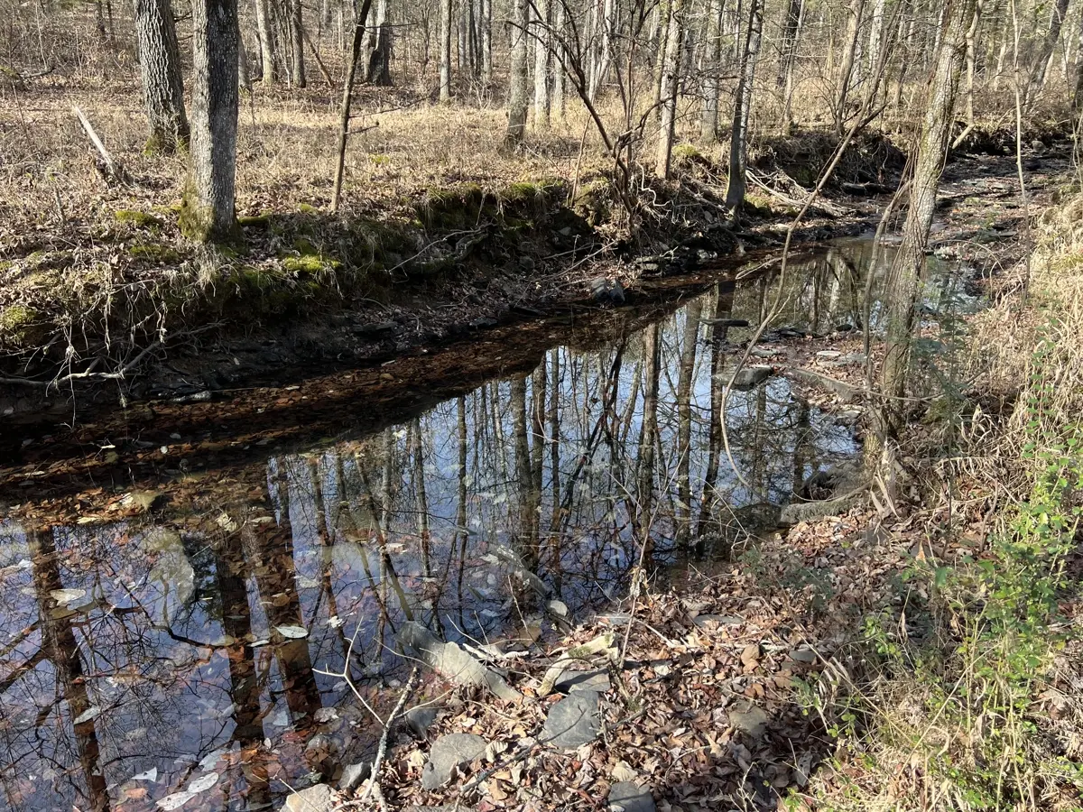 40.83+/- Wooded Hunting Acres with Creek For Sale in McRae, AR