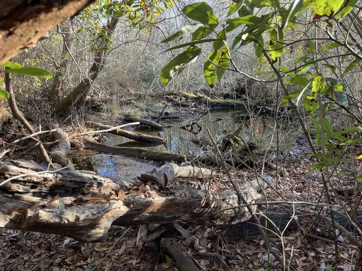 Hunter's Paradise for Sale in Eastern NC