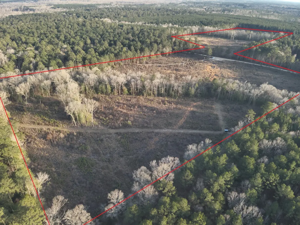 Cleared Land w/ Hardwood Creeks for Sale near Junction City, AR