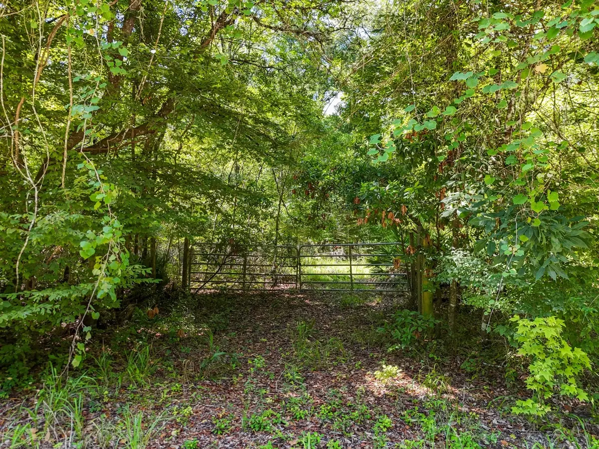 Vacant Land Near Suwannee River In Dixie County, Florida