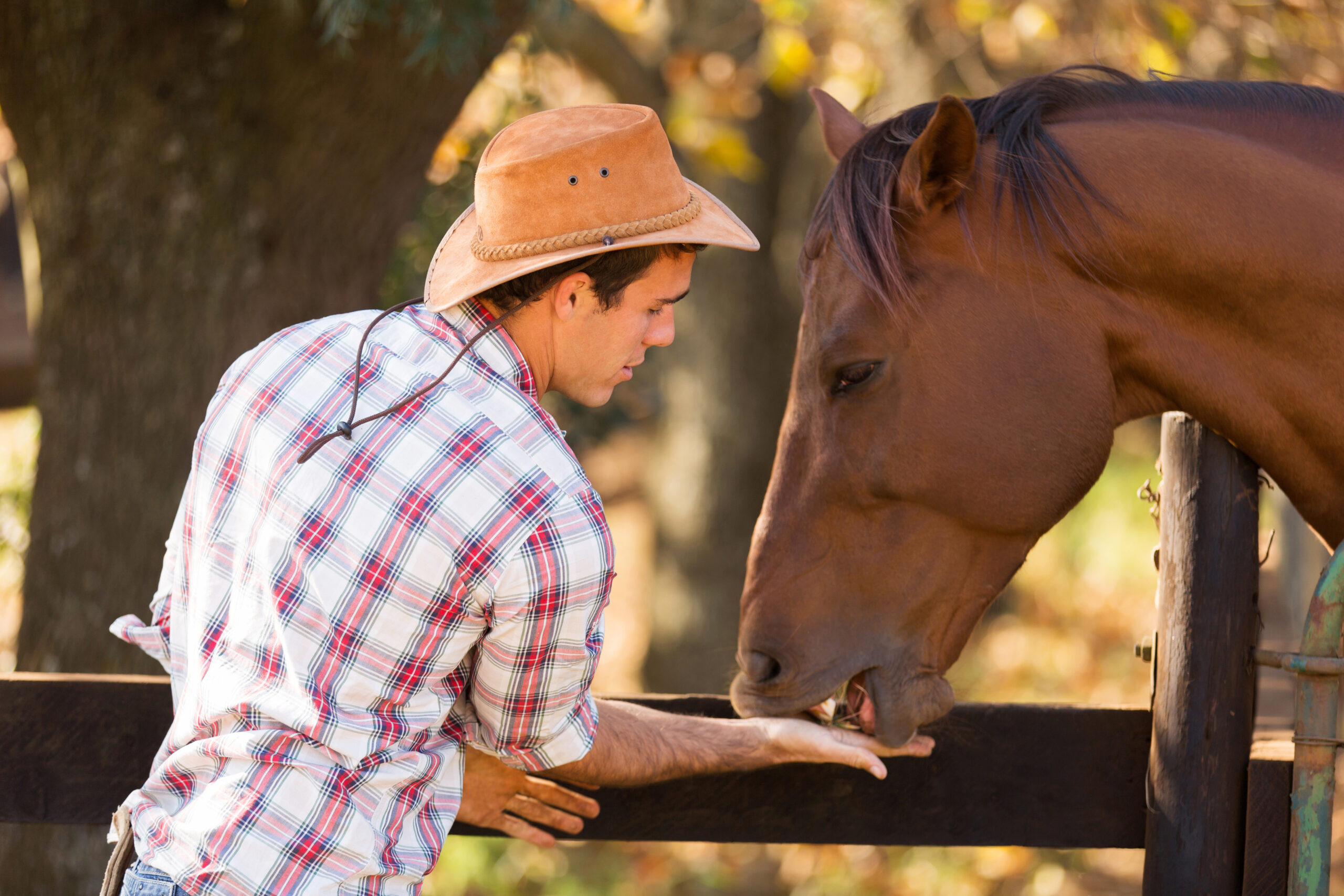 What to Look for When Hiring a Ranch Hand | Ranch Properties | United ...