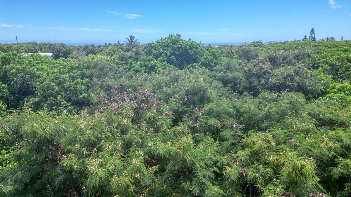 12,000 sqft lot Big Island Hawaii's southern tip Lava zone 6