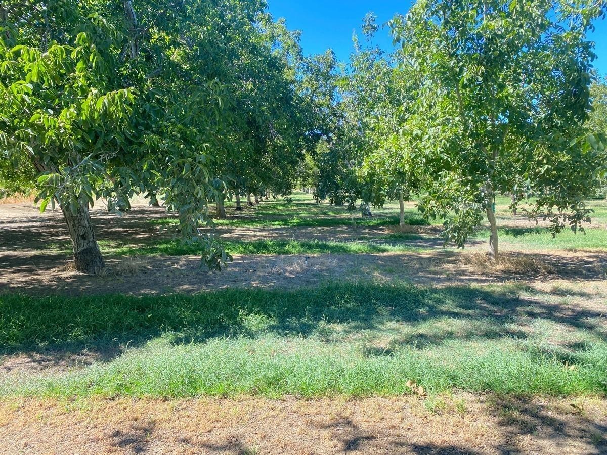 Yolo County, California Farm Land for Sale