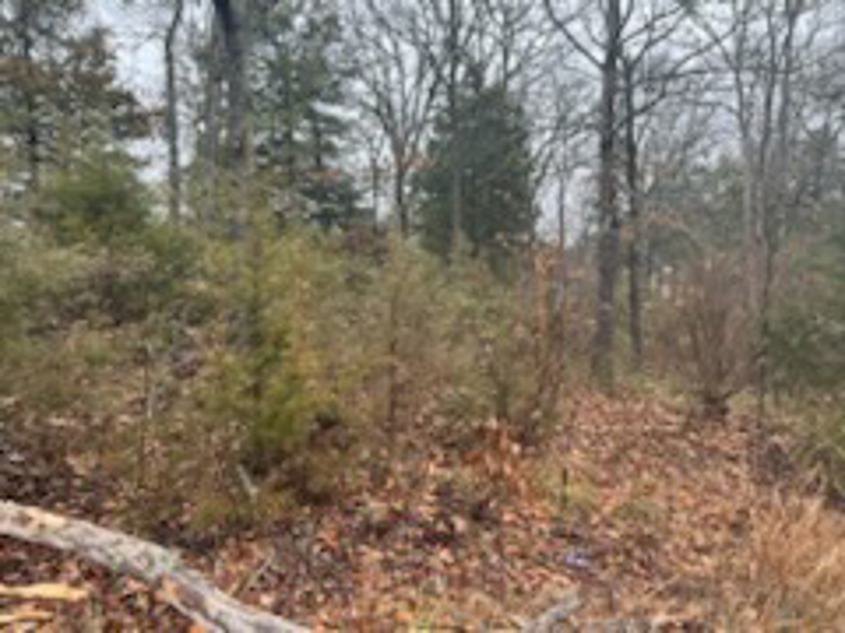 2 Adjoining Residential Lots in Merriam Woods near Branson Missouri